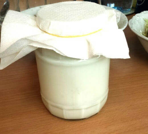Kefir gljiva, kefirna zrnca – kako se pravi domaći kefir? | Recepti i ...